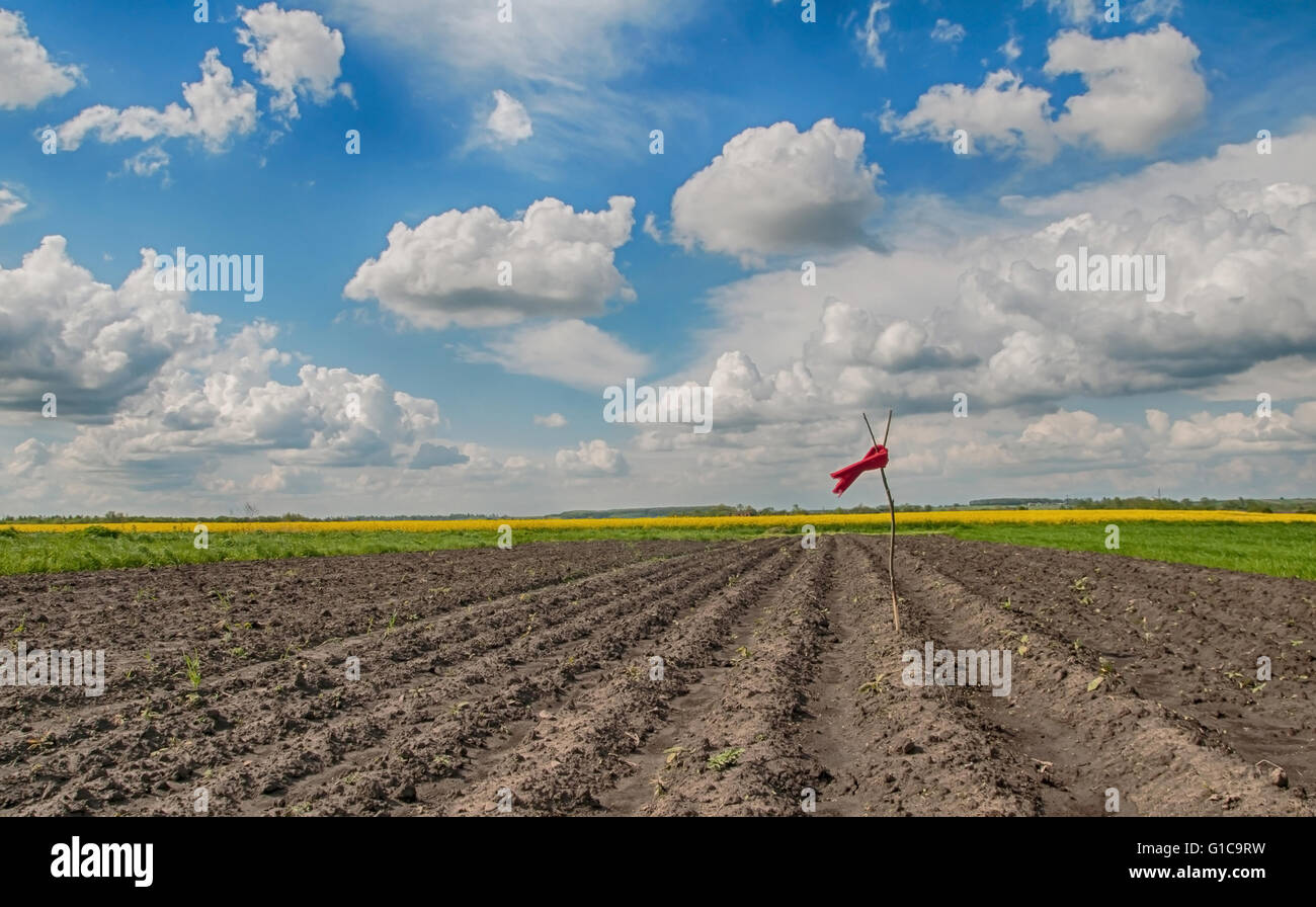 red scarecrow in field under blue sky Stock Photo - Alamy