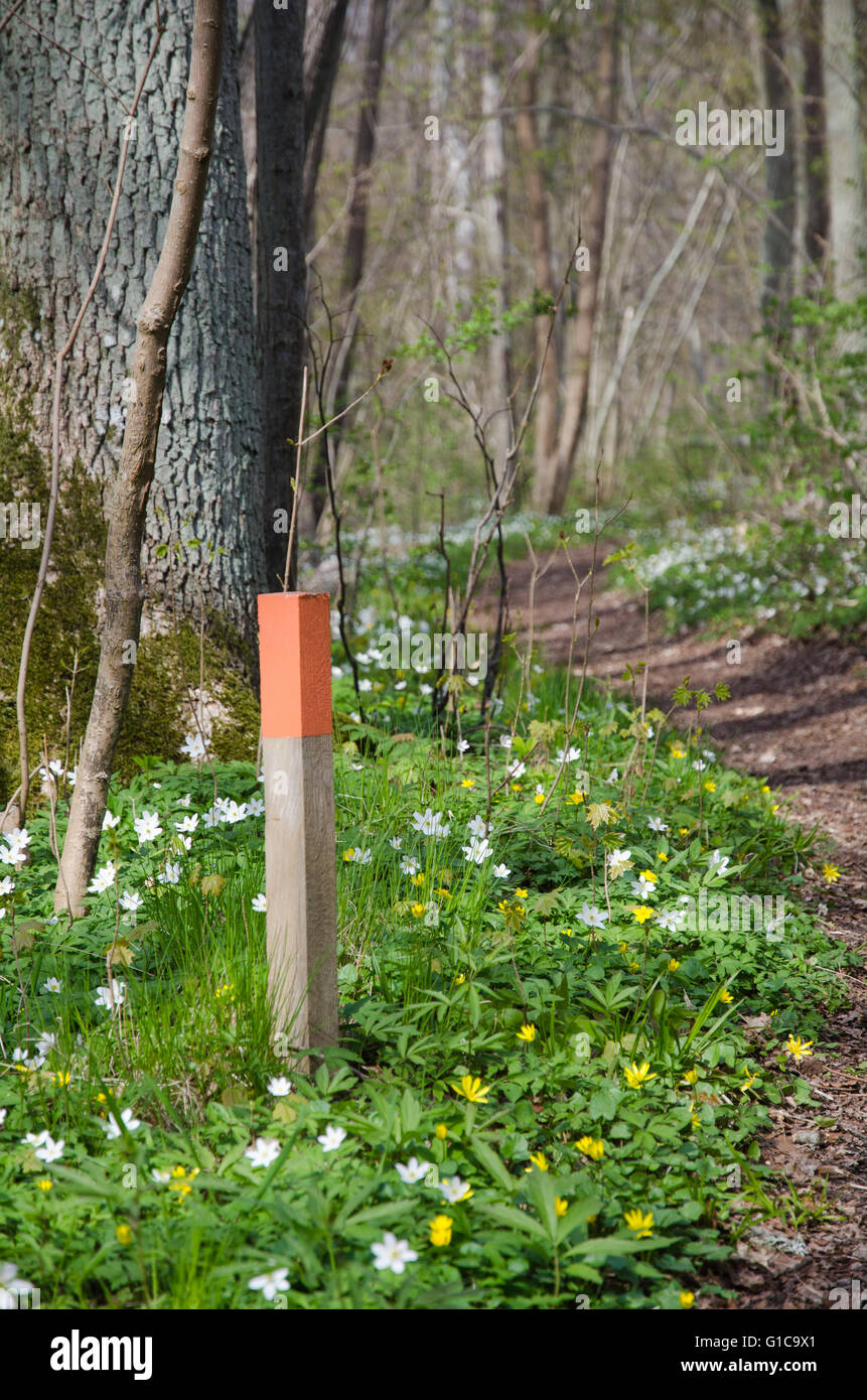 Spring marker hi-res stock photography and images - Alamy