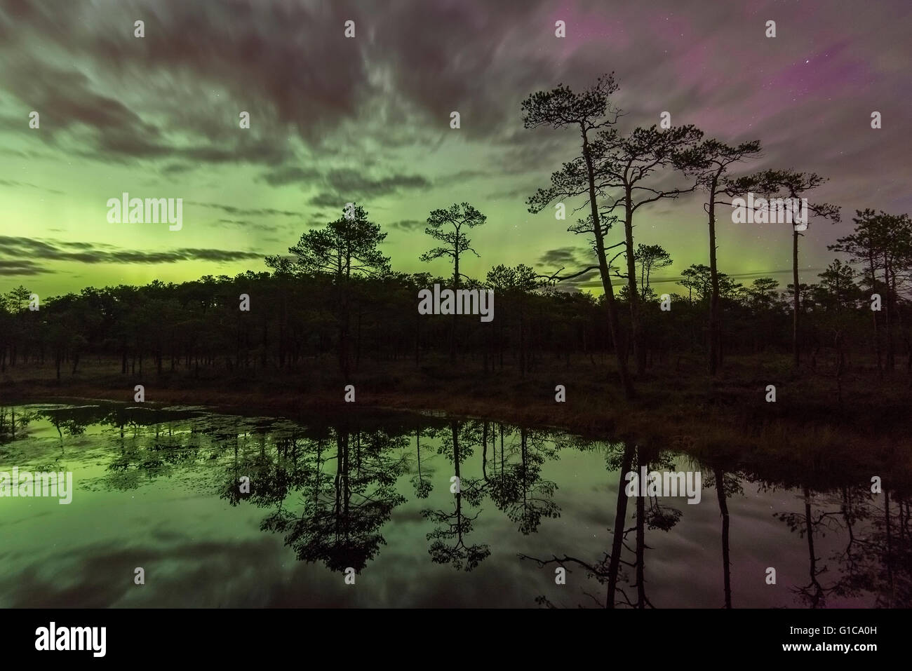 Northern lights at the bog Stock Photo - Alamy
