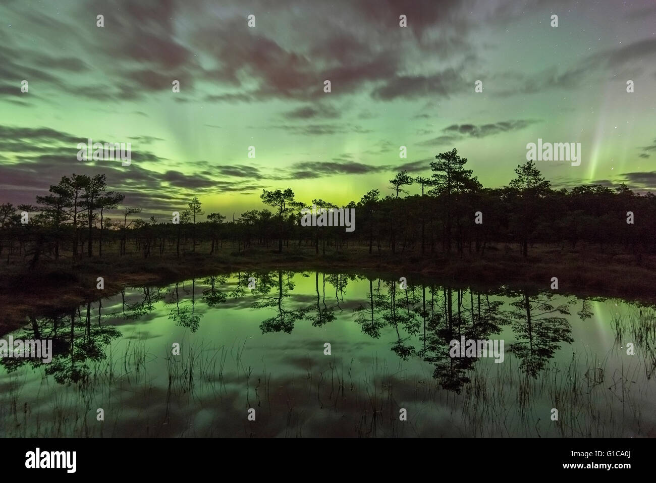 Northern eurasia hi-res stock photography and images - Alamy