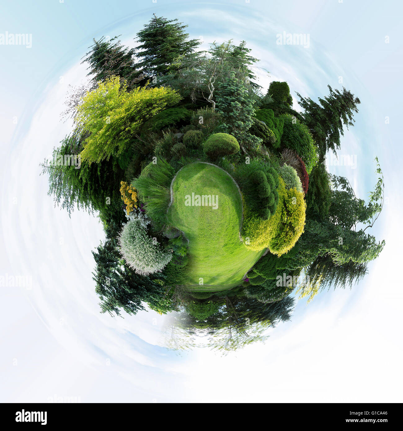 mini planet of Beautiful spring garden design, with conifer trees ...