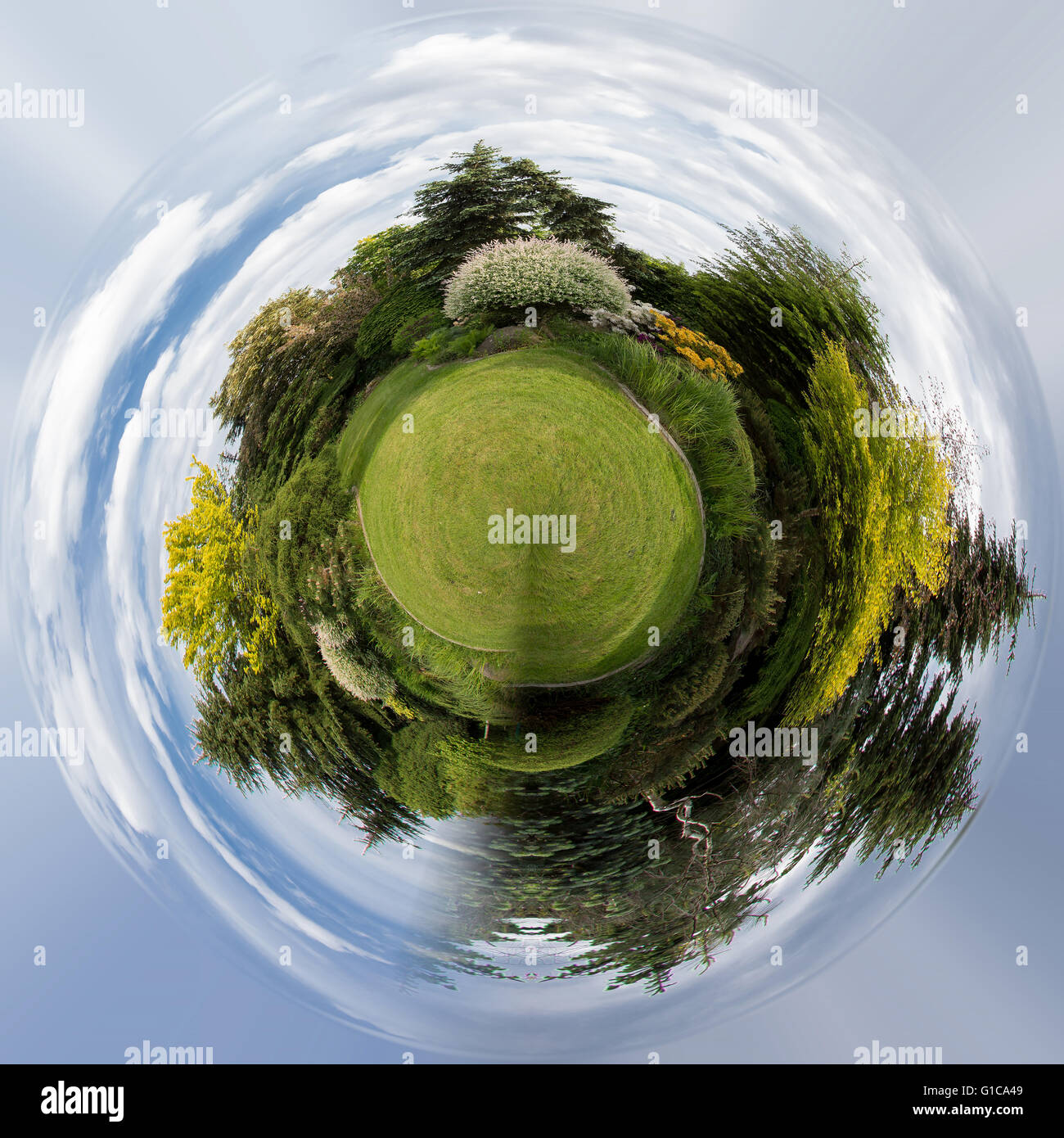mini planet of Beautiful spring garden design, with conifer trees ...