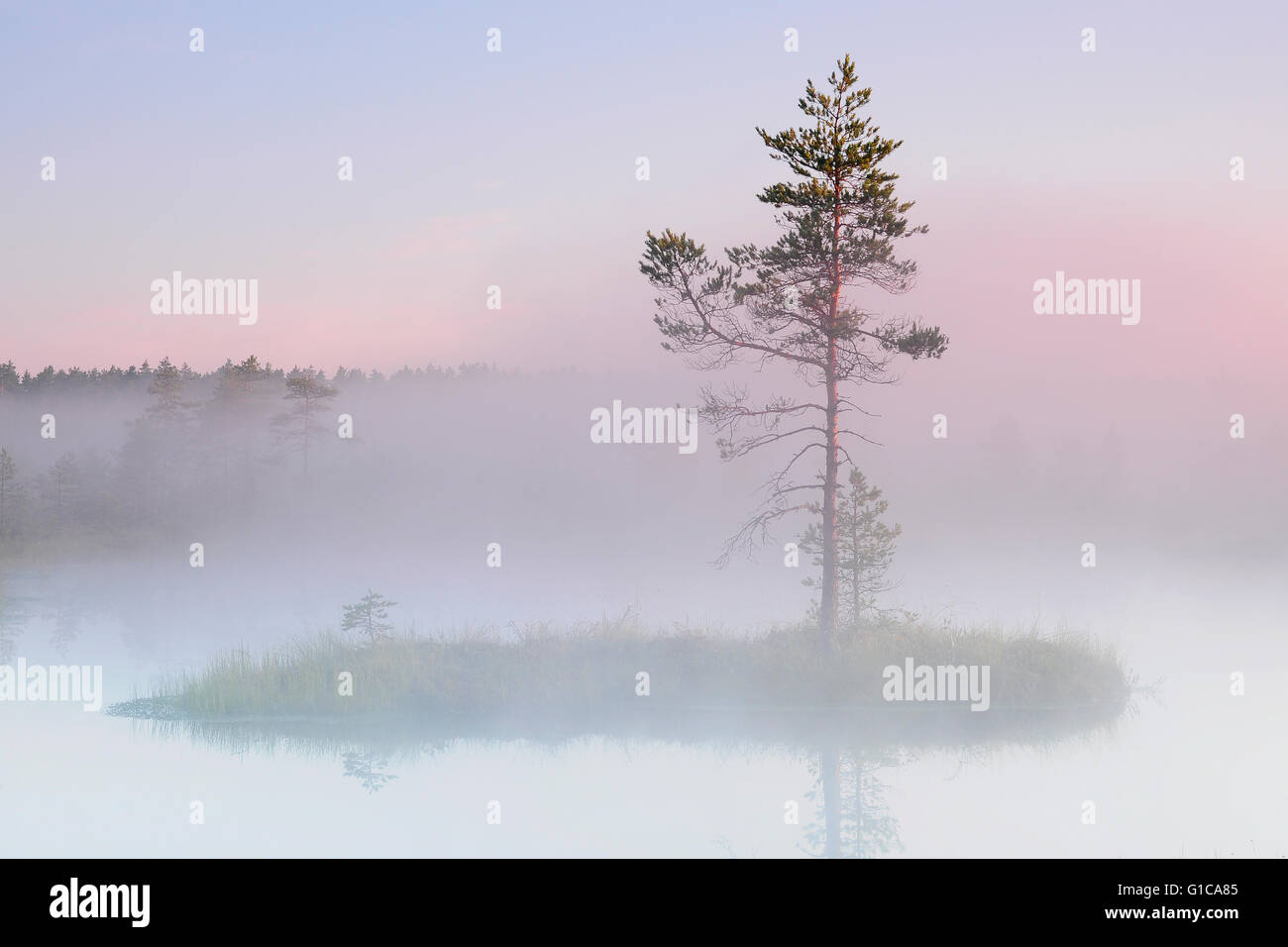 Bog island hi-res stock photography and images - Alamy