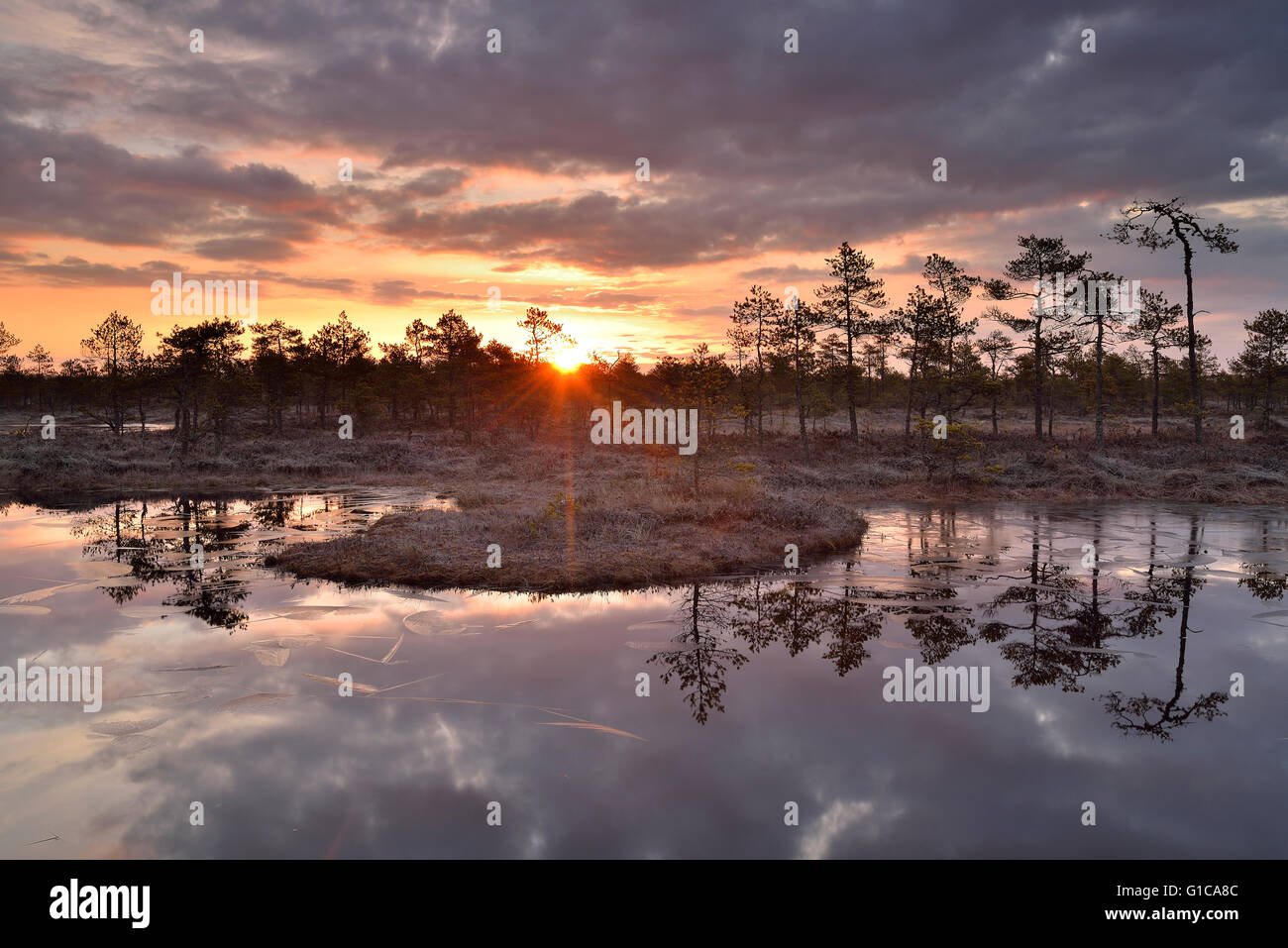 Sunrise at the bog Stock Photo - Alamy