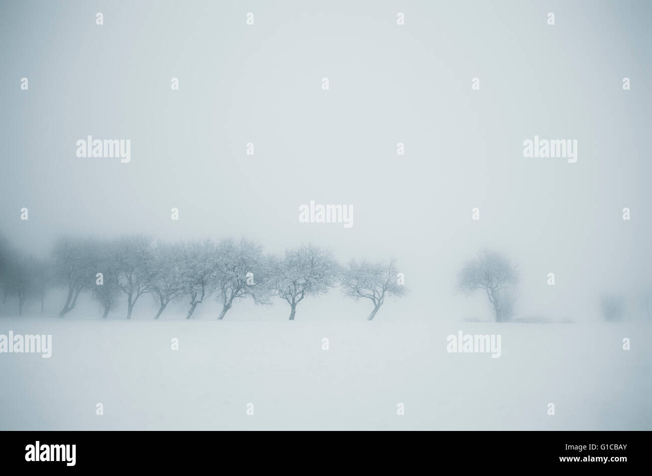 Minimal tree landscape background hi-res stock photography and images ...