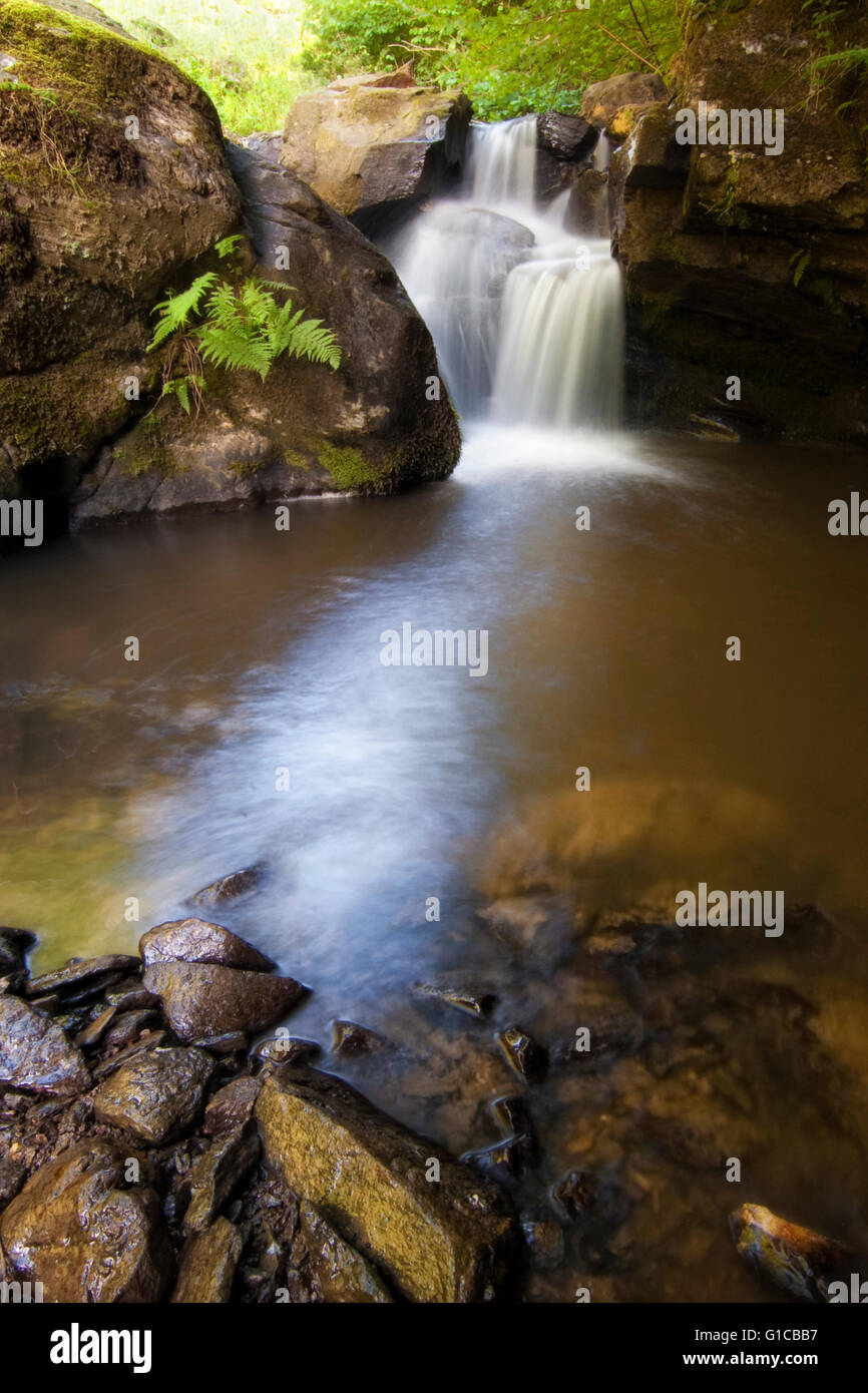 waterfall on forest stream natural landscape Stock Photo - Alamy