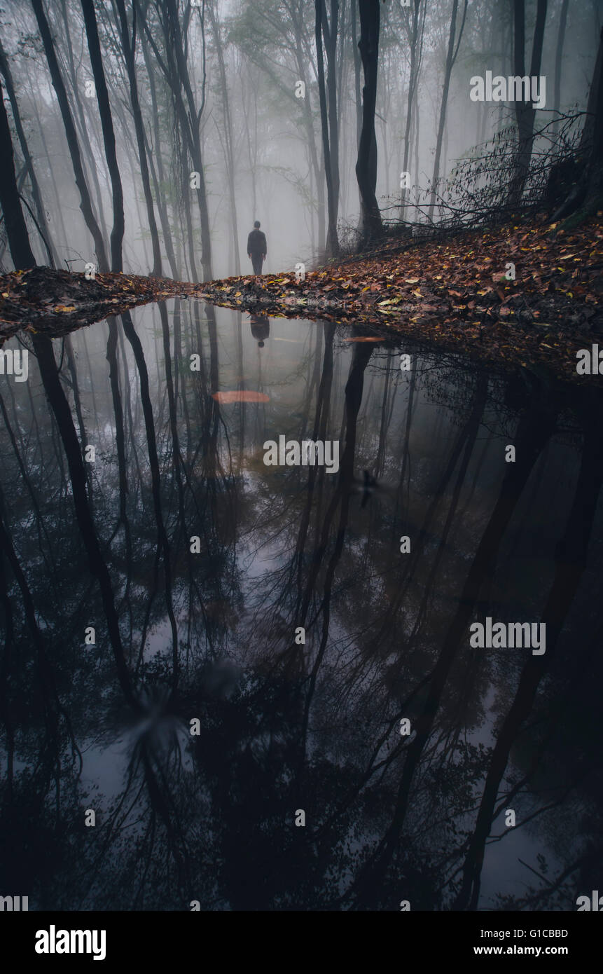 Dark creepy foggy forest hi-res stock photography and images - Alamy