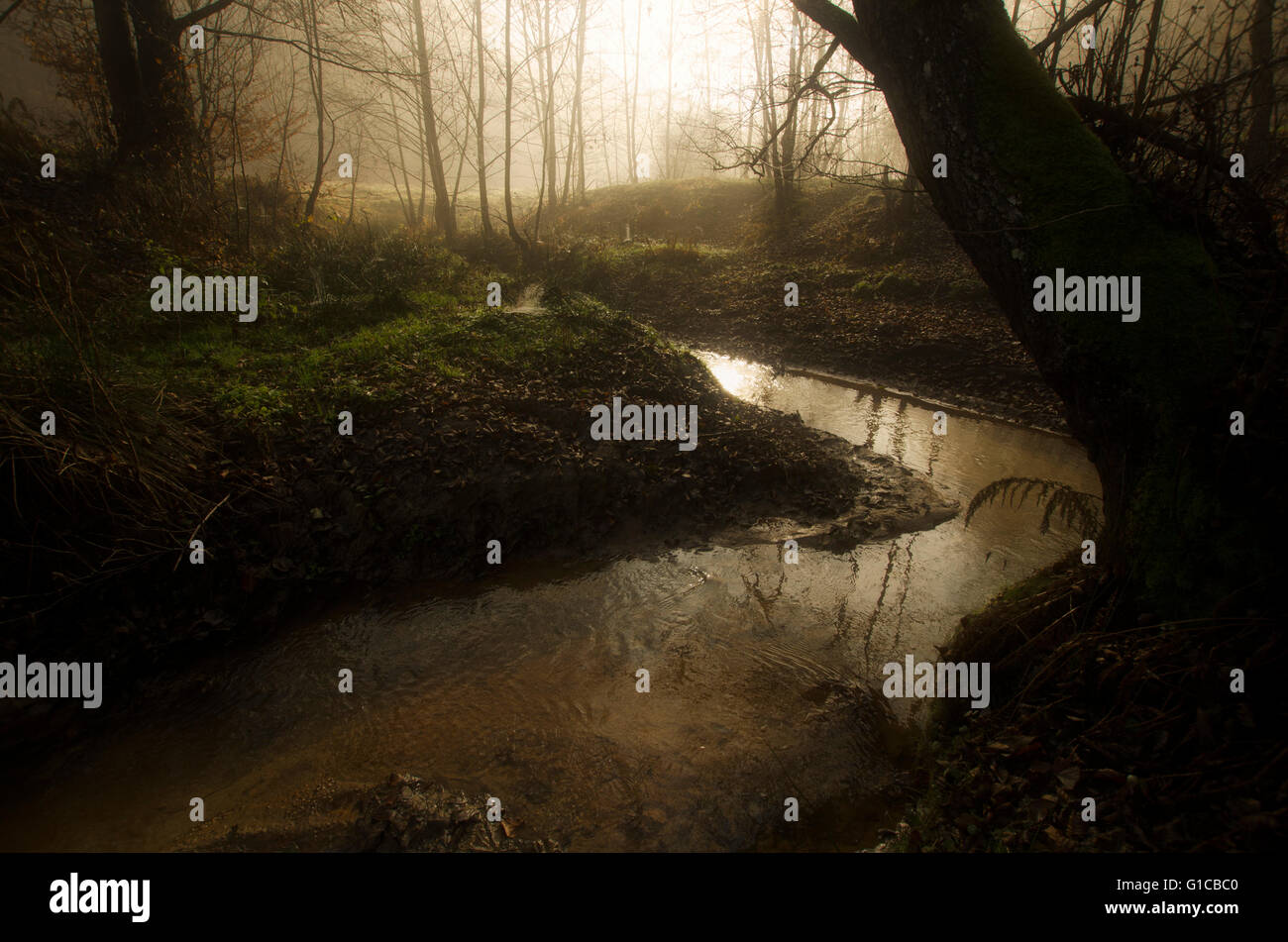 autumn morning landscape with mist in autumn Stock Photo - Alamy