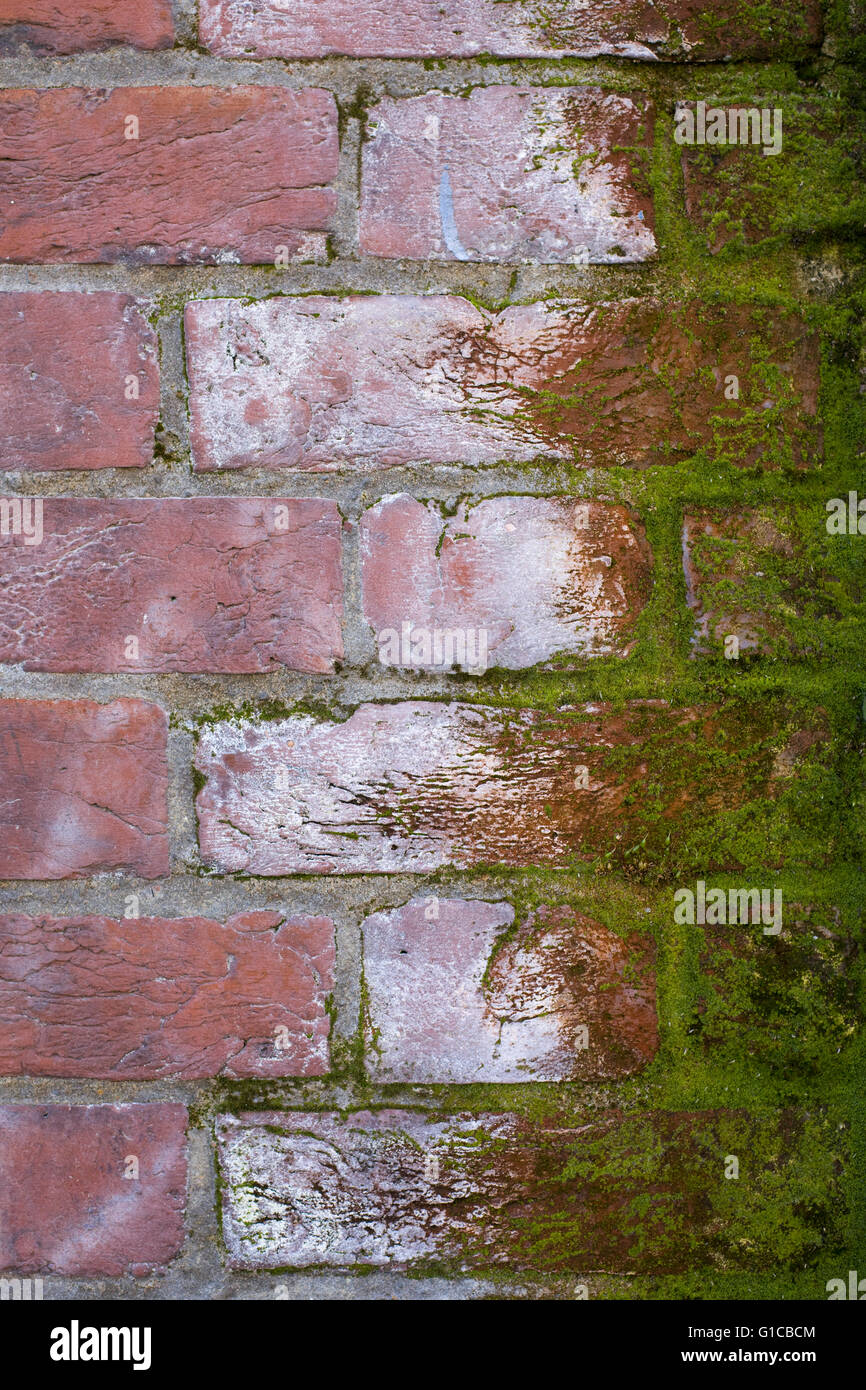 Brick bond patterns hi-res stock photography and images - Alamy