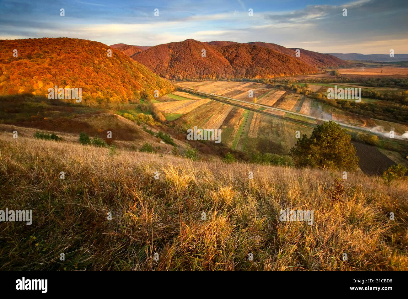 Field hills in autumn hi-res stock photography and images - Alamy