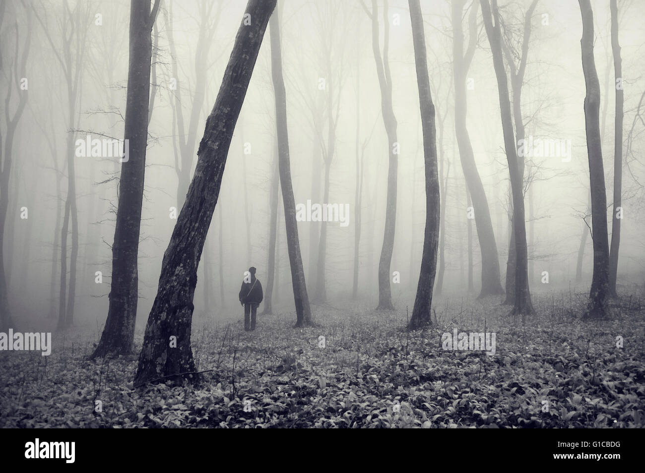 man in forest dark landscape Stock Photo - Alamy