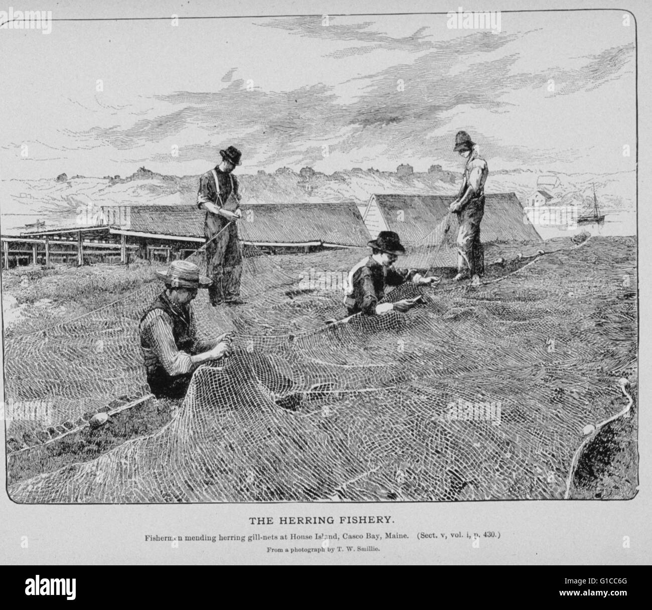 Herring trade hi-res stock photography and images - Alamy
