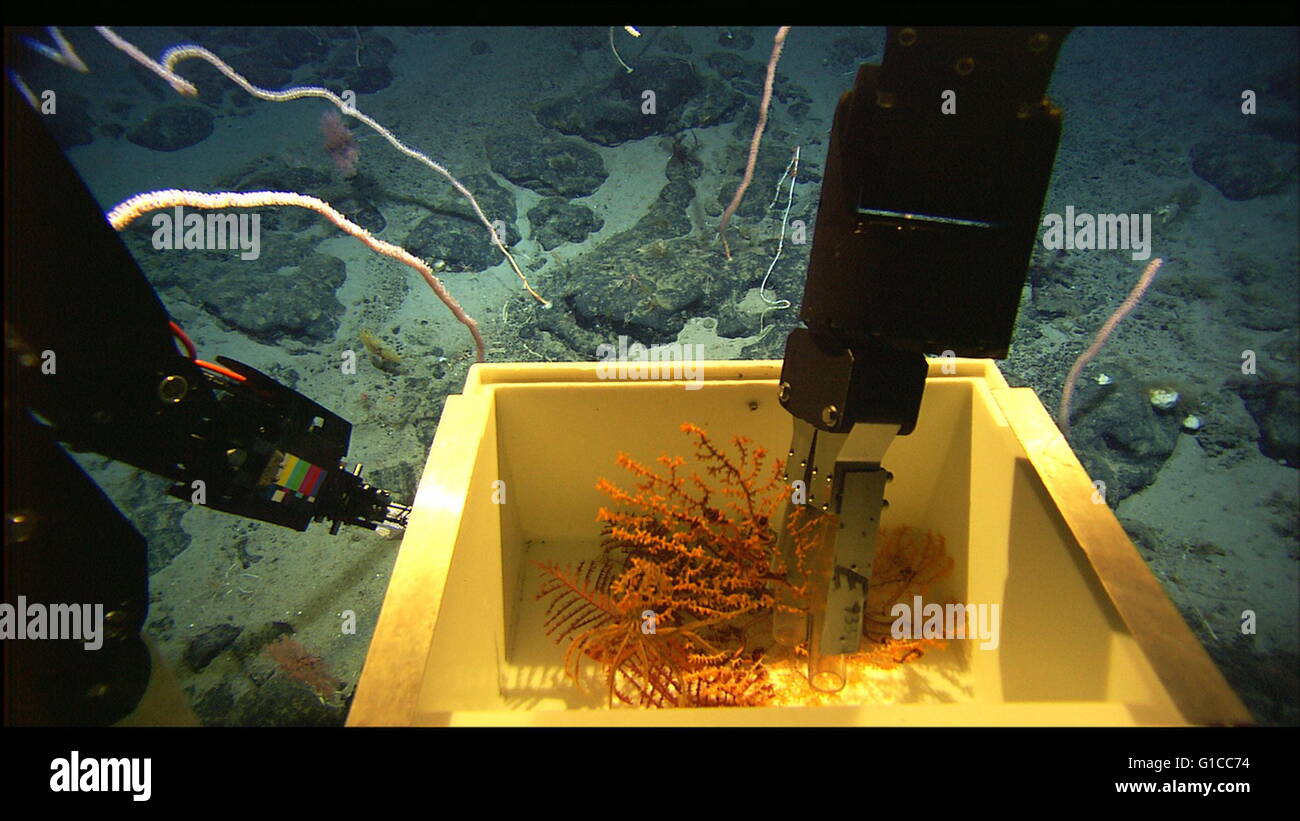 Rov hercules hi-res stock photography and images - Alamy