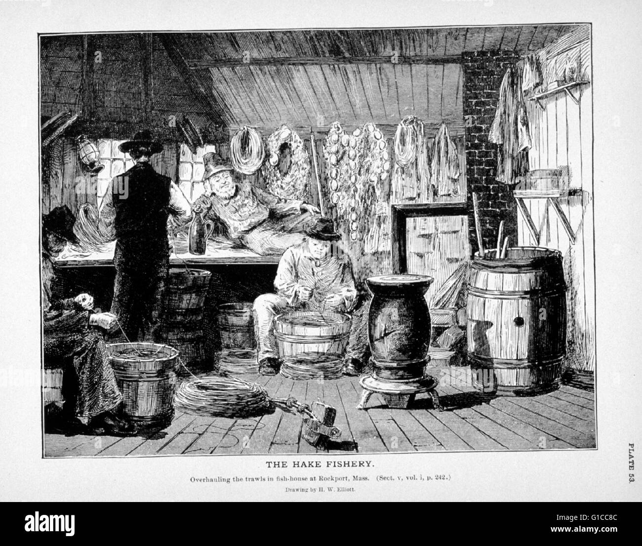 Overhauling trawls in fish-house at Rockport, Massachusetts. Drawing by ...