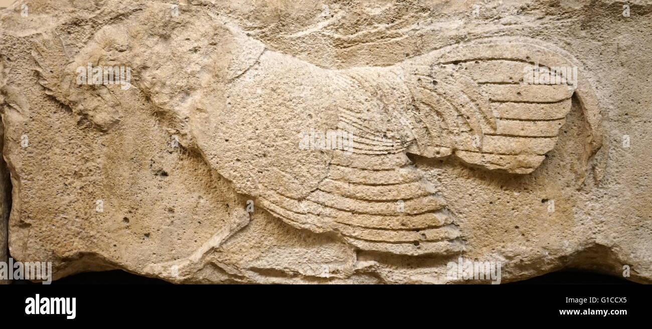 Frieze from Xanthos depicting wild fowl which may have been sacrificial ...