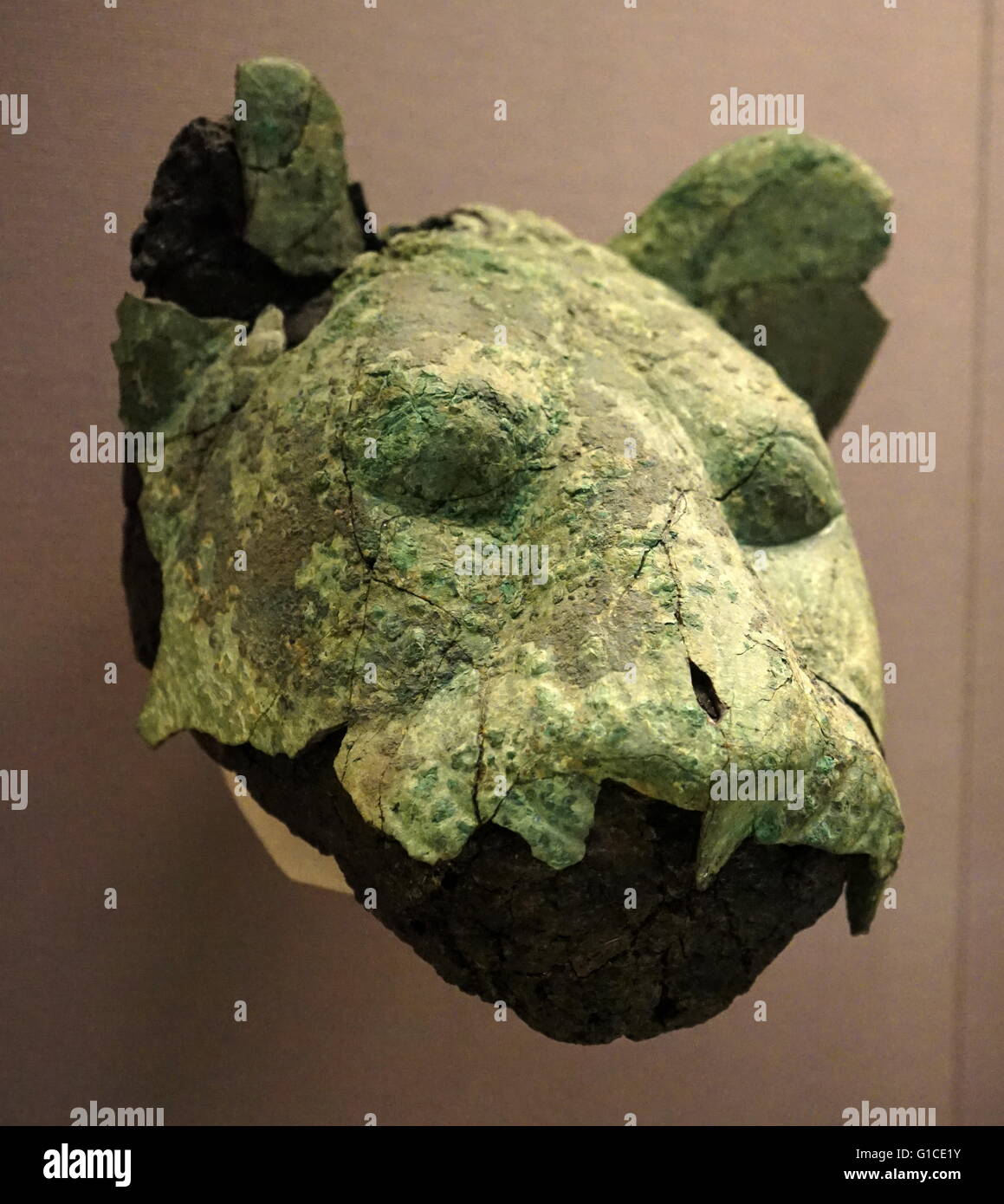 Lion copper hi-res stock photography and images - Alamy