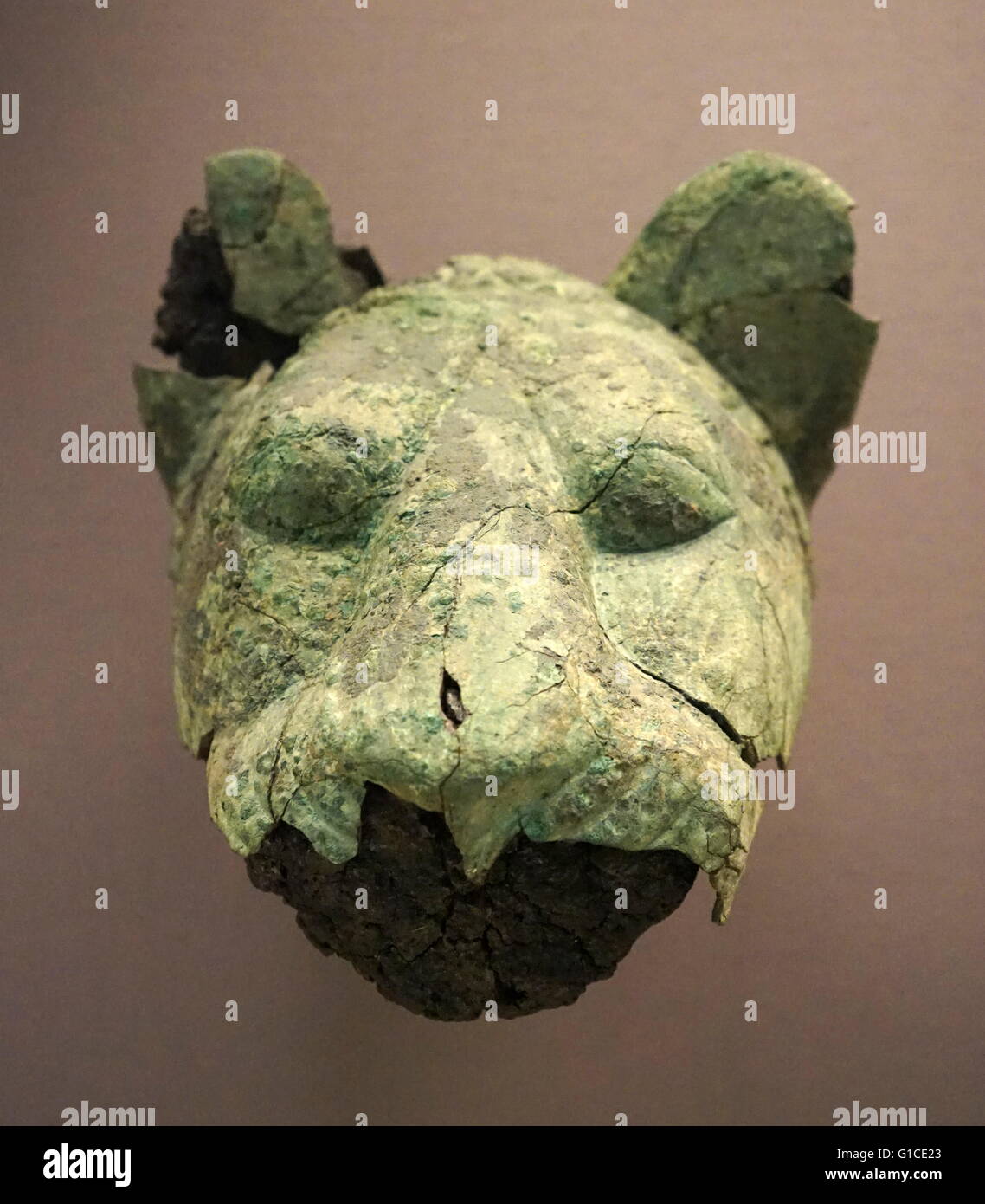 Lion copper hi-res stock photography and images - Alamy