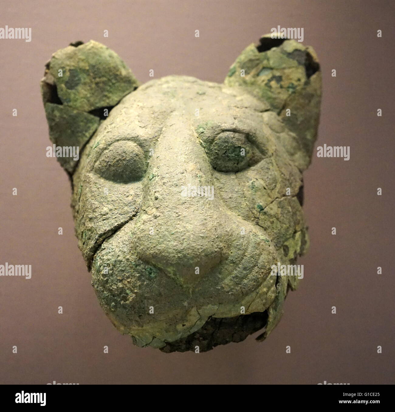 Lion copper hi-res stock photography and images - Alamy