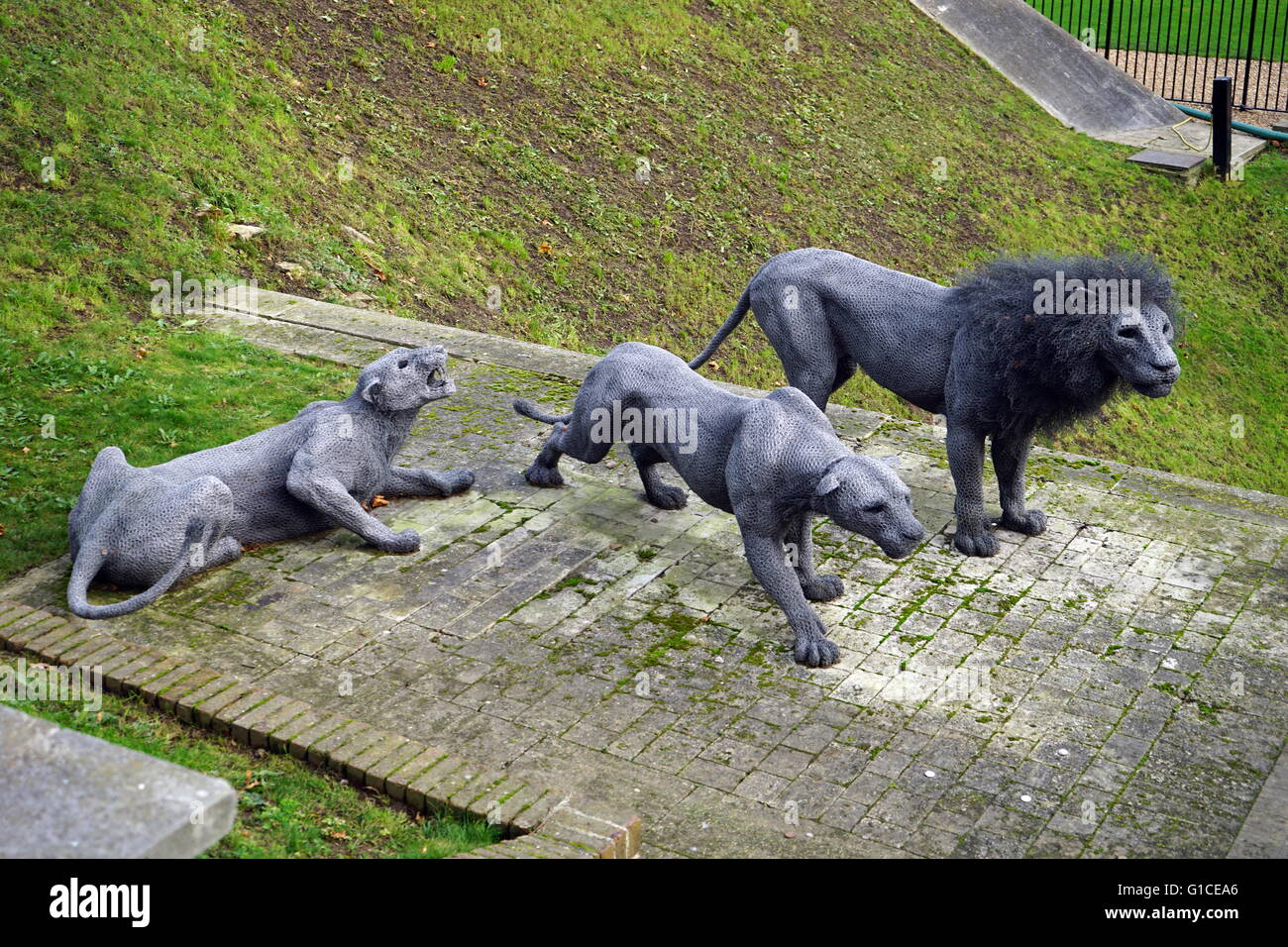 View of the replica lion's kept at the Tower of London since Medieval ...