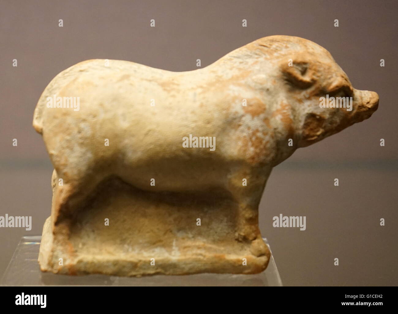 Terracotta pig from Knidos. Dated 300 BC Stock Photo - Alamy