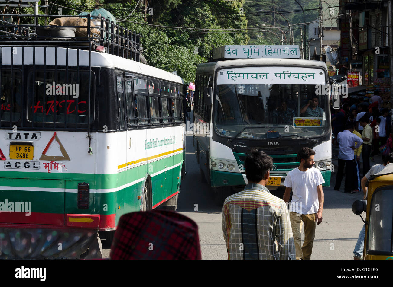 buses in heavy traffic, Manali, Himachal Pradesh, India Stock Photo - Alamy