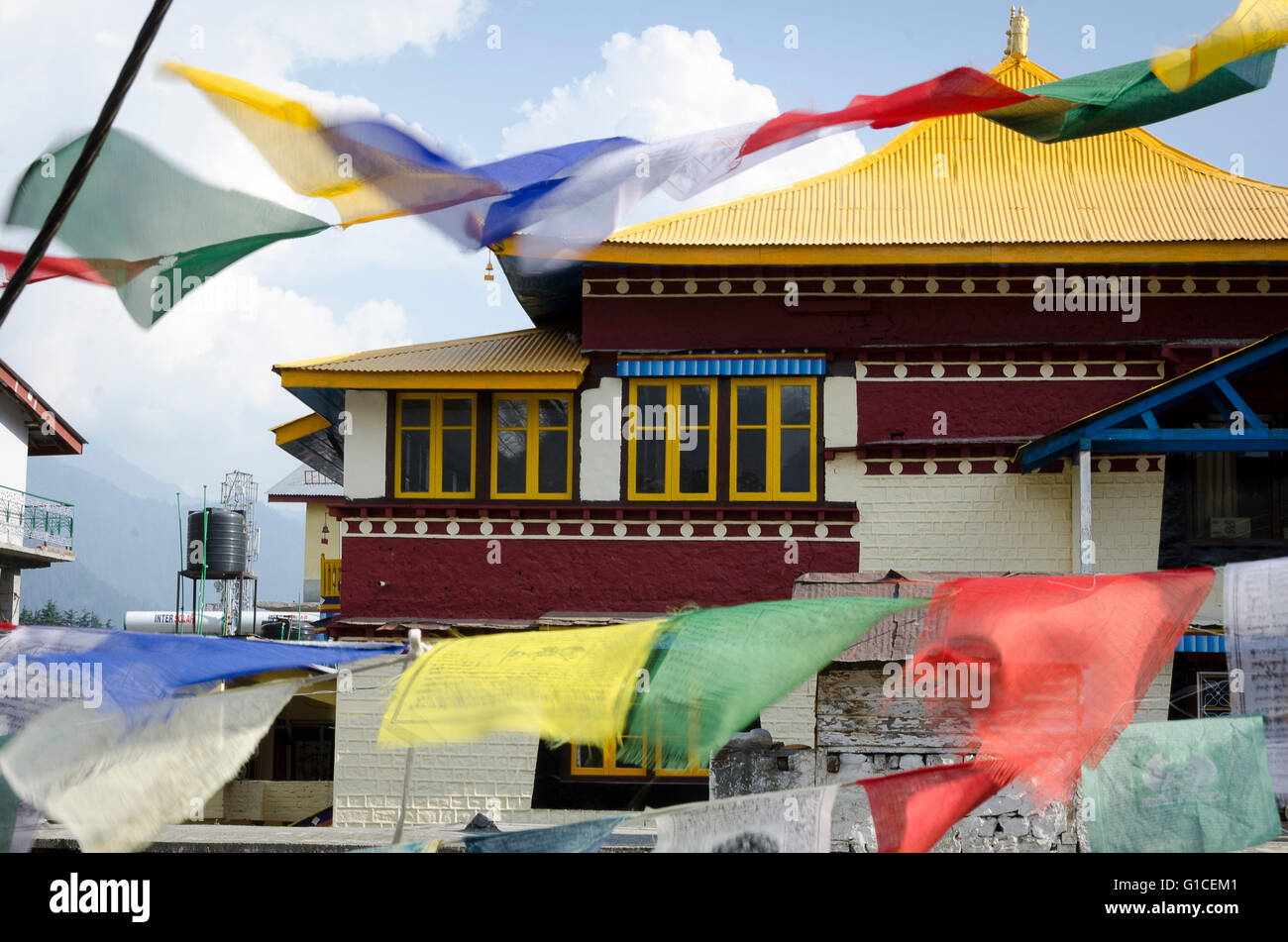 Prayer flags outside Buddhist Monastery, Manali, Himachal Pradesh ...
