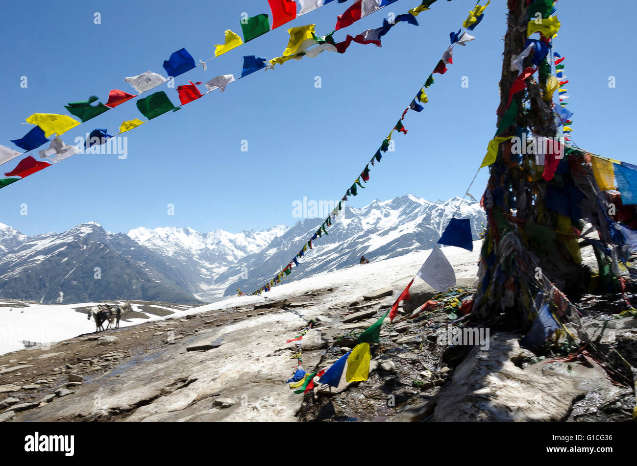 Prayer flags at summit of Rotang Pass, Manali - Leh Road, Himachal ...