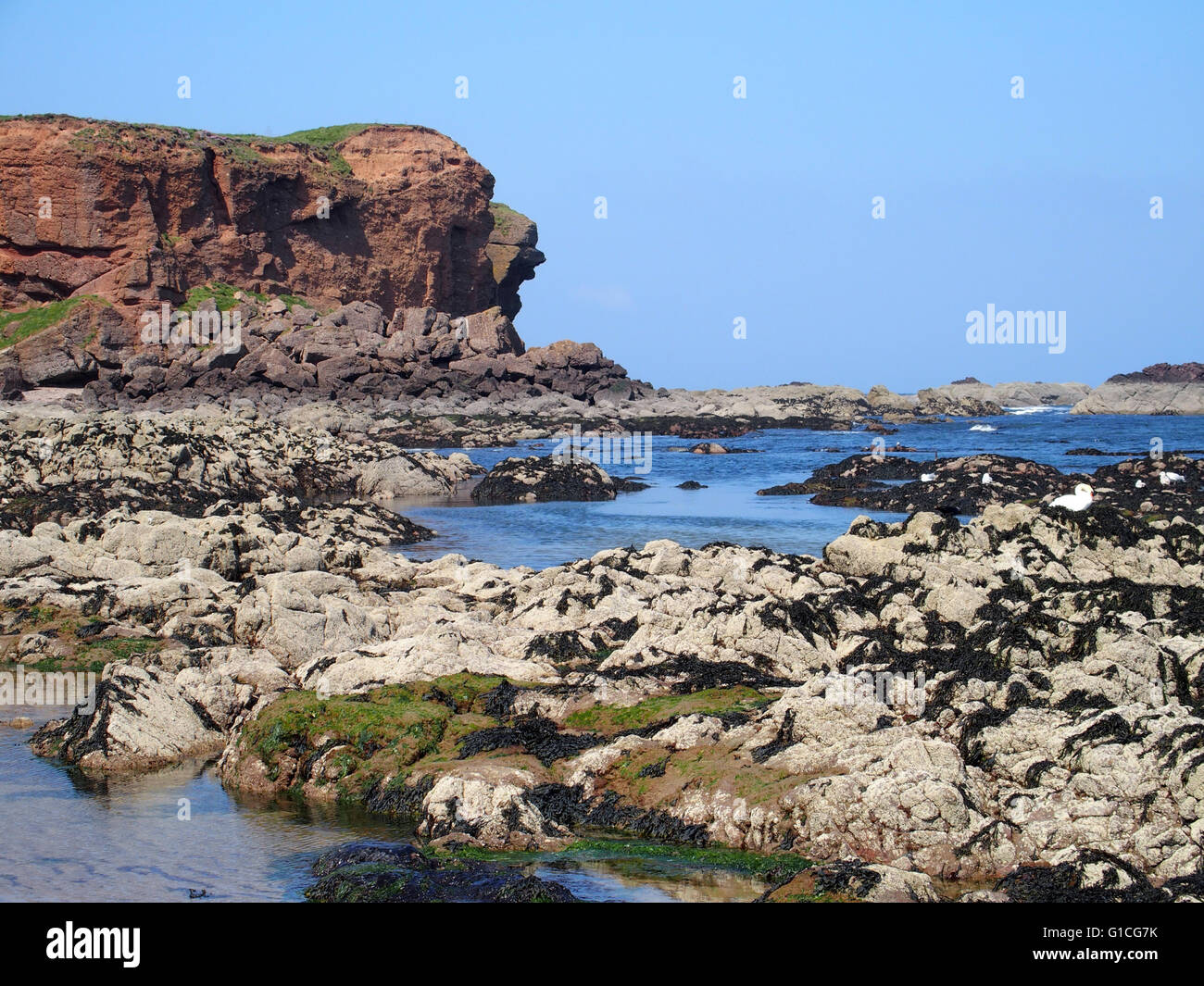 Eyemouth beach hi-res stock photography and images - Alamy