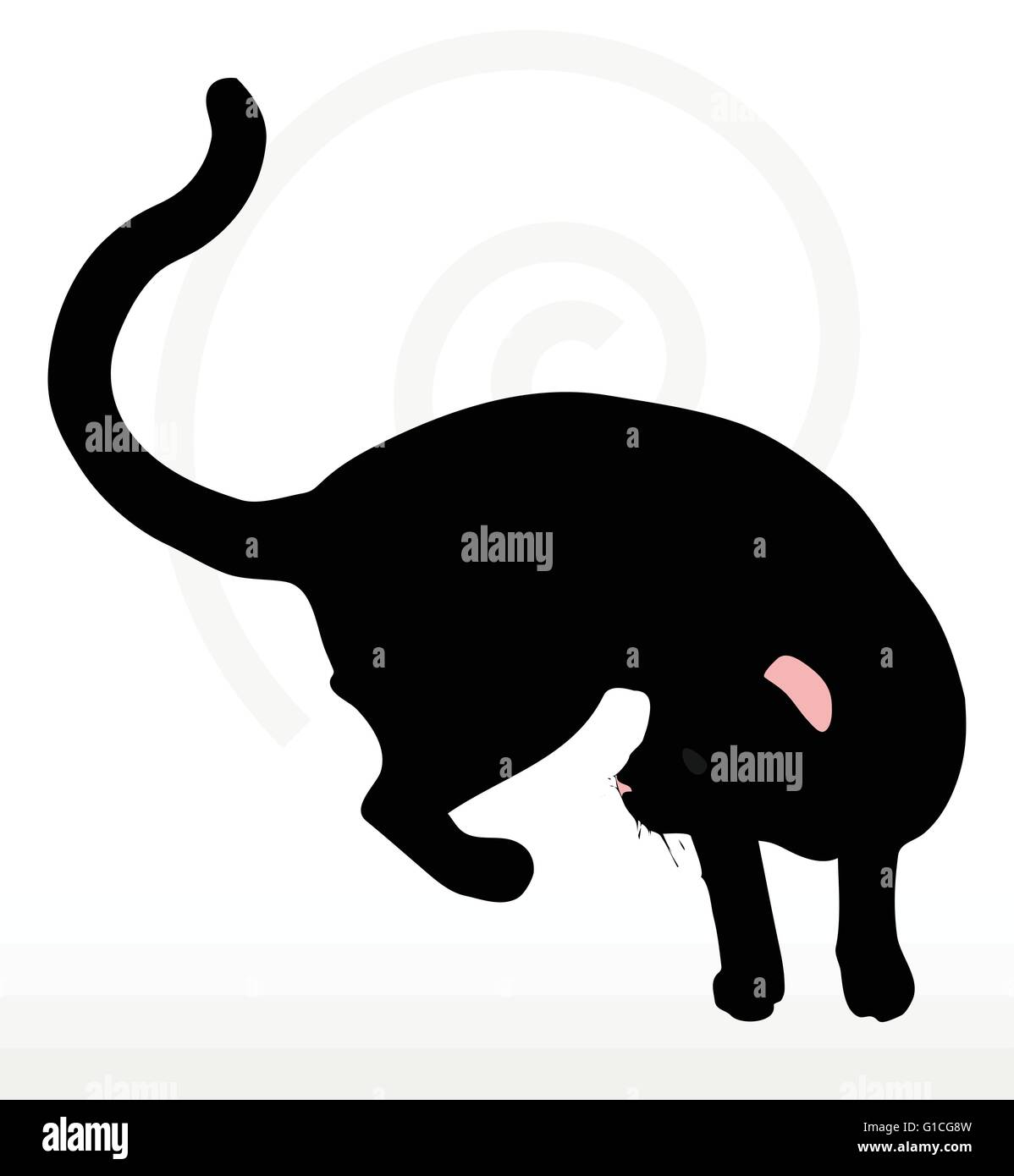 Vector Image - cat silhouette in Turn Around pose isolated on white ...