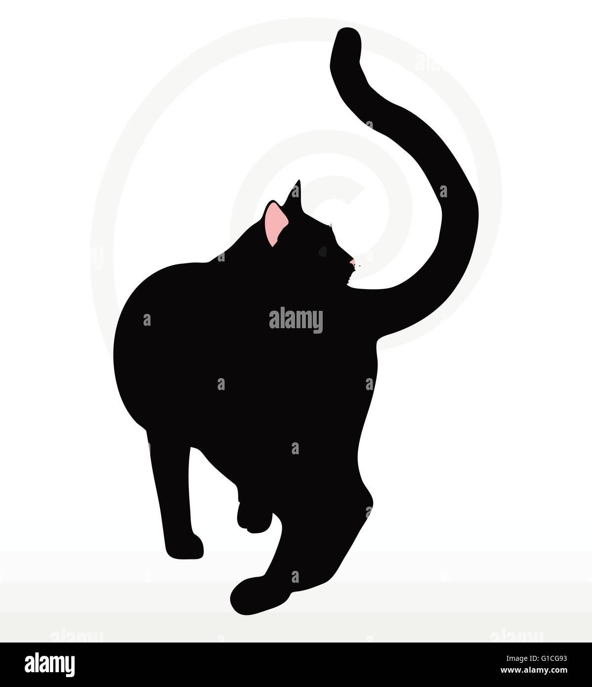 Vector Image - cat silhouette in Turn Around pose isolated on white ...