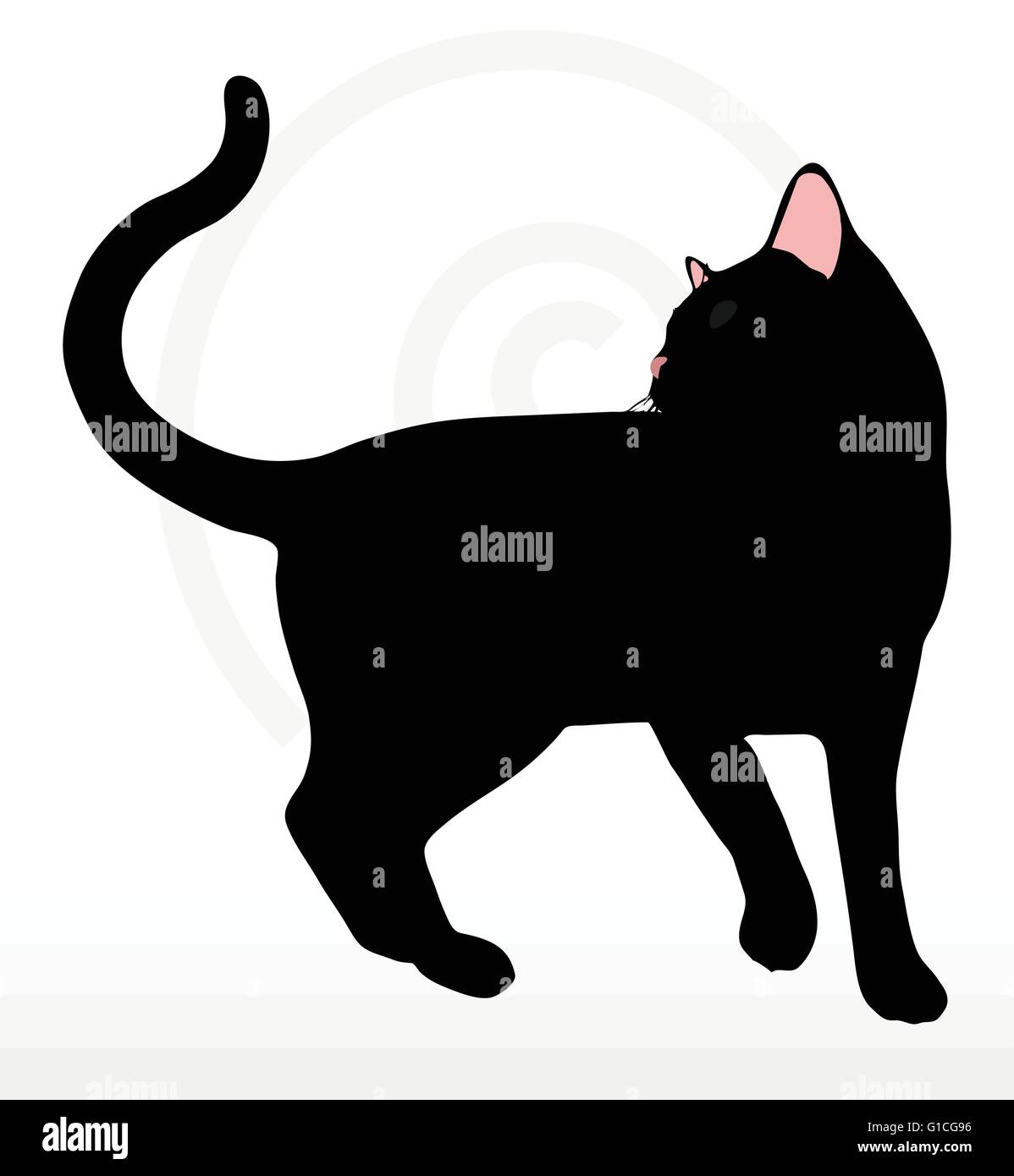Vector Image - cat silhouette in Turn Around pose isolated on white ...