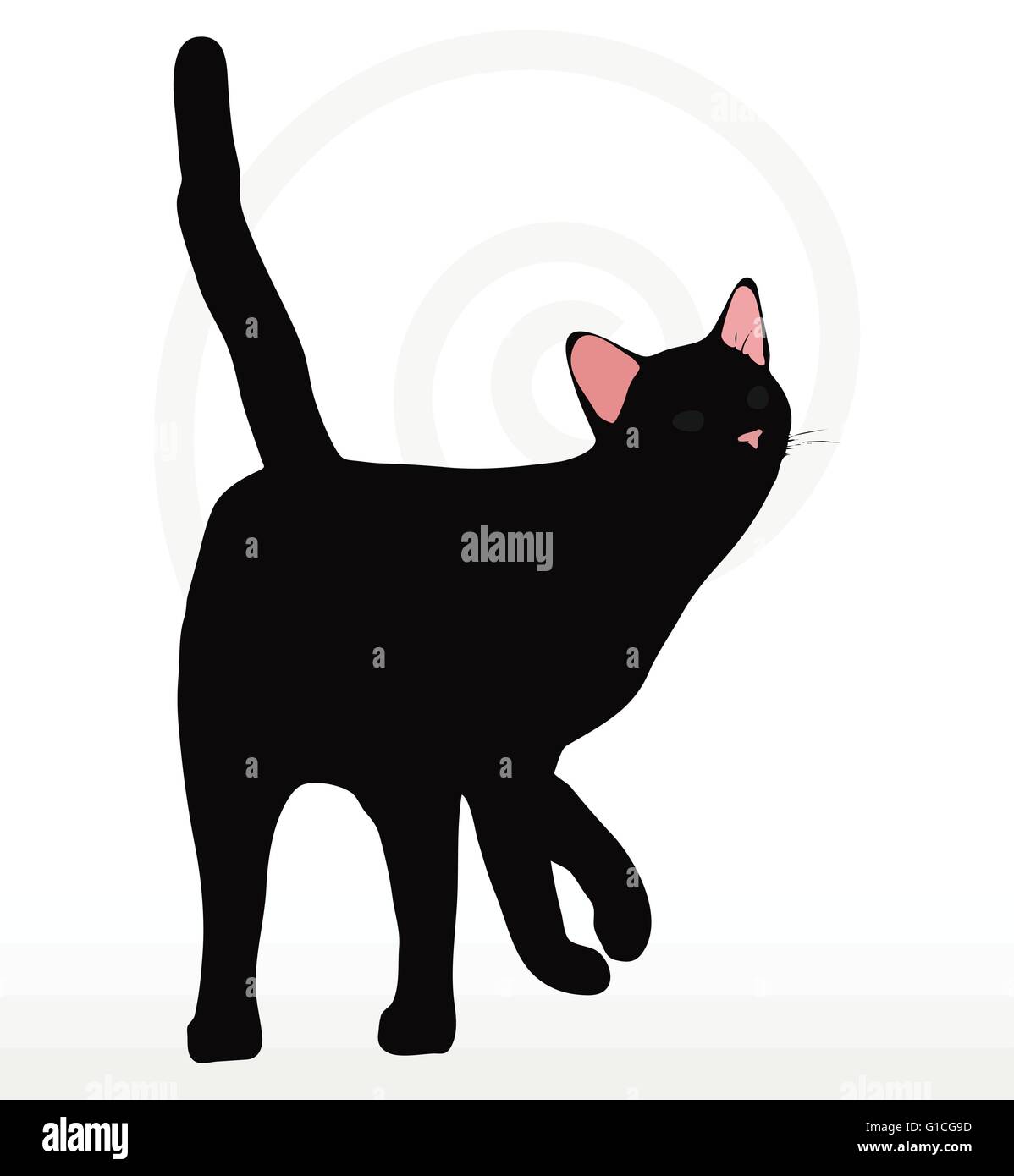 Vector Image - cat silhouette in Turn Around pose isolated on white ...