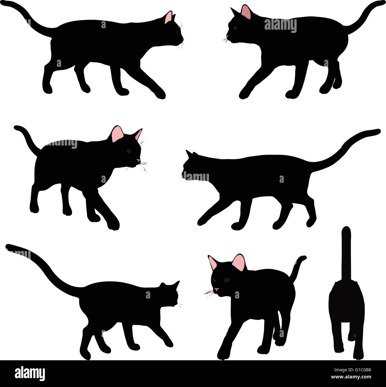 Vector Image - cat silhouette in Walking pose isolated on white ...