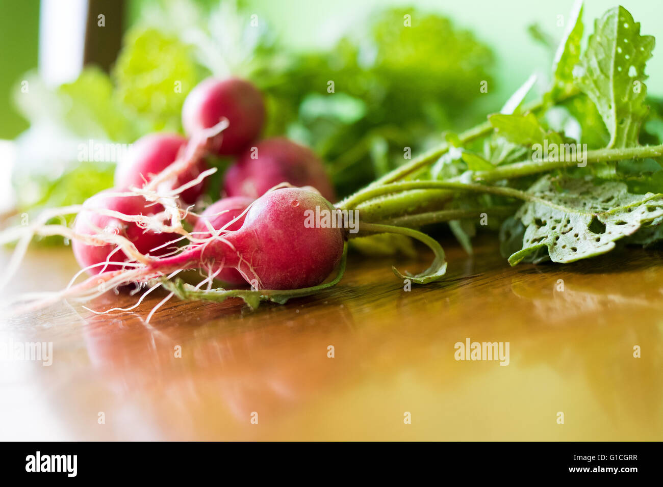 Radish crop plant hi-res stock photography and images - Alamy