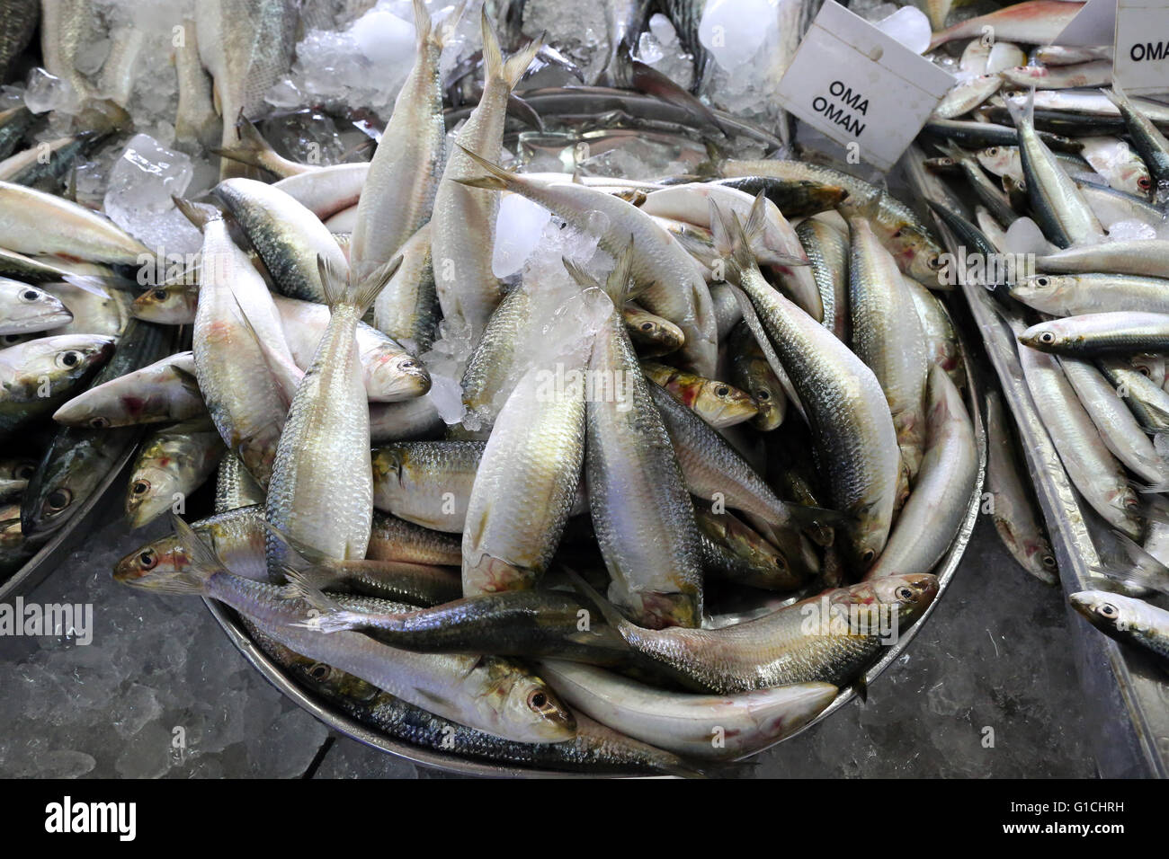 Mina port fish market, Abu Dhabi. United Arab Emirates Stock Photo - Alamy