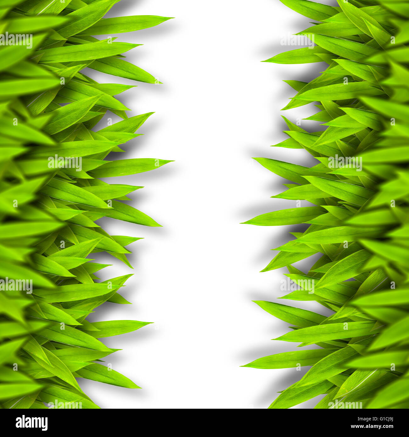 Bamboo leaves ,design for background Stock Photo - Alamy