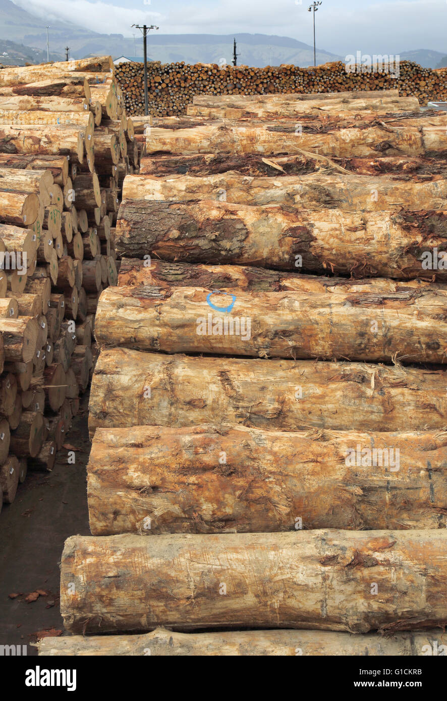 logs stored in the small port of lyttelton south island New zealand ...