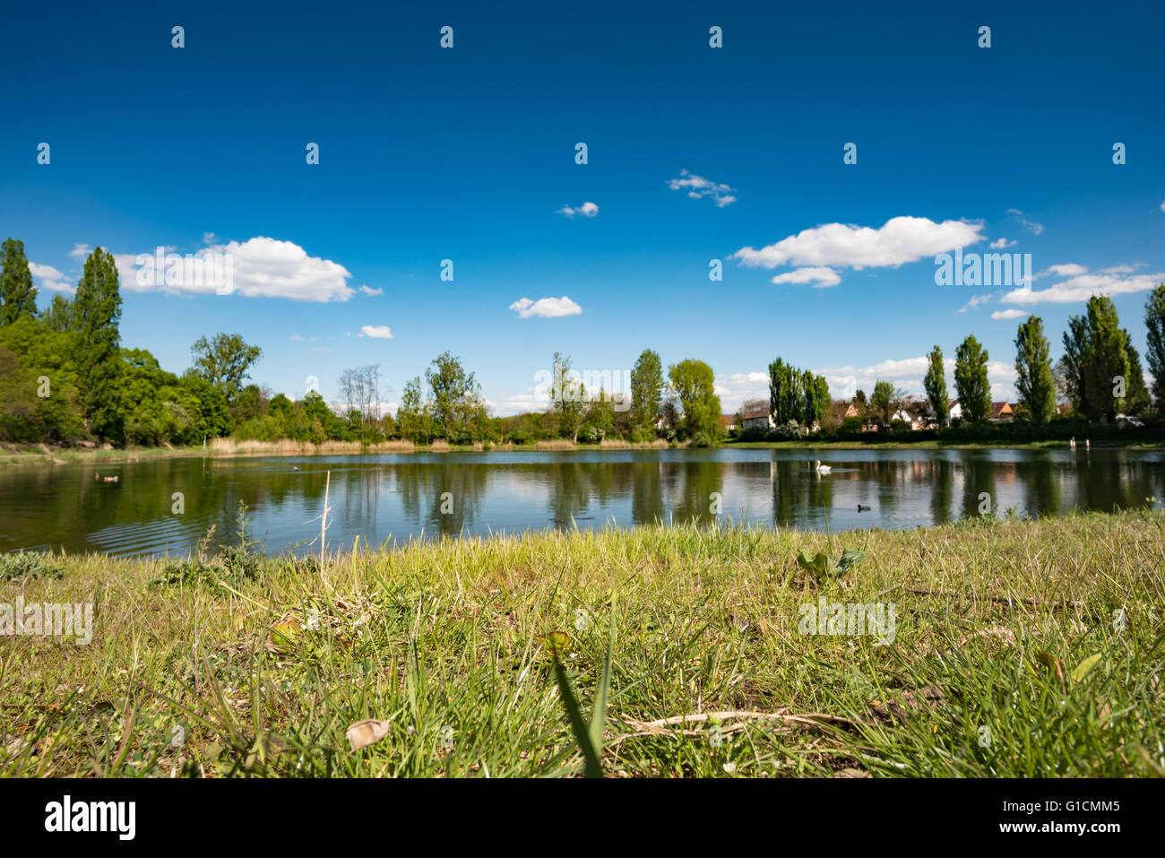 Beautiful lake in Germany Stock Photo - Alamy