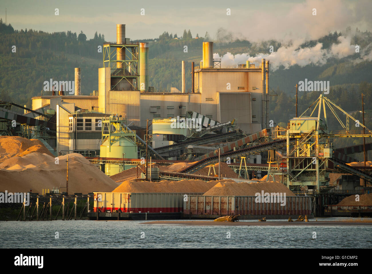 Paper mill plant hi-res stock photography and images - Alamy