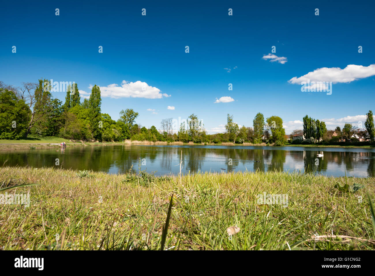 Beautiful lake in Germany Stock Photo - Alamy