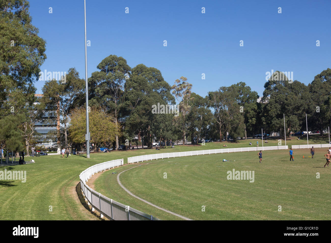 Sydney sports oval in st leonards with a group of men and women playing ...