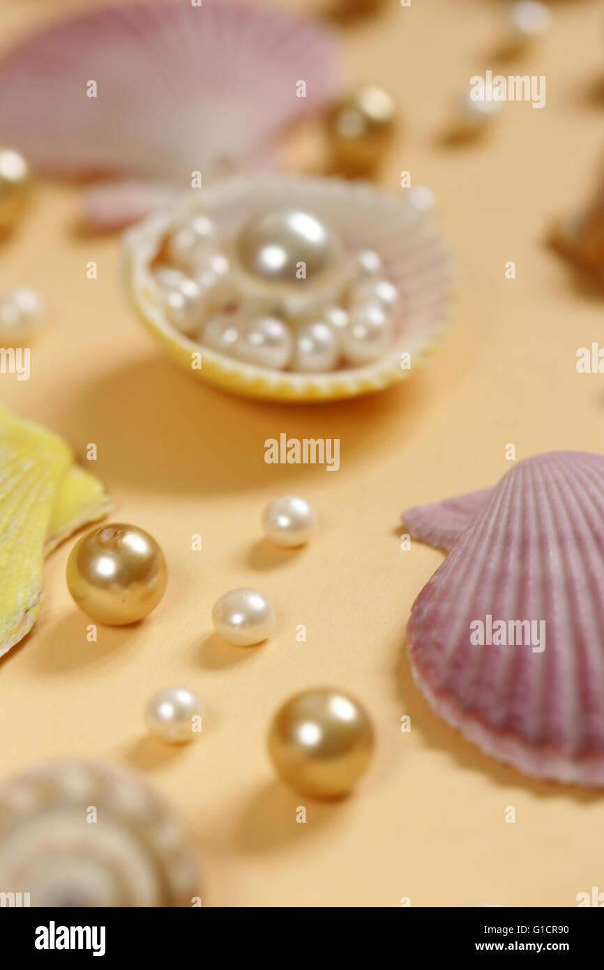 Types of shells hi-res stock photography and images - Alamy