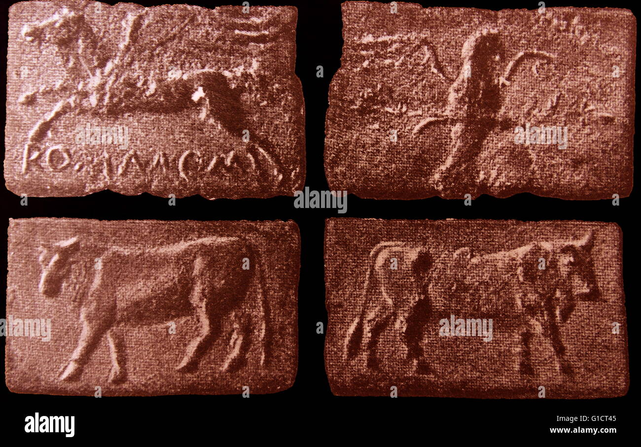 Examples of early Roman currency in the form of bars. Dated 4th Century ...