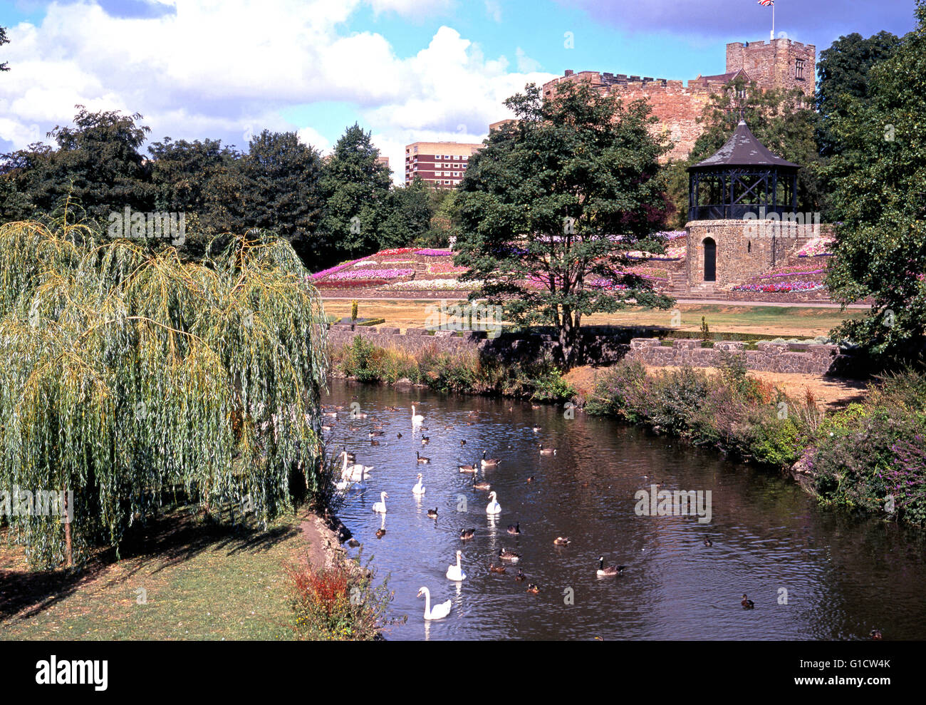View of the Norman castle with swans on the River Anker, Tamworth ...