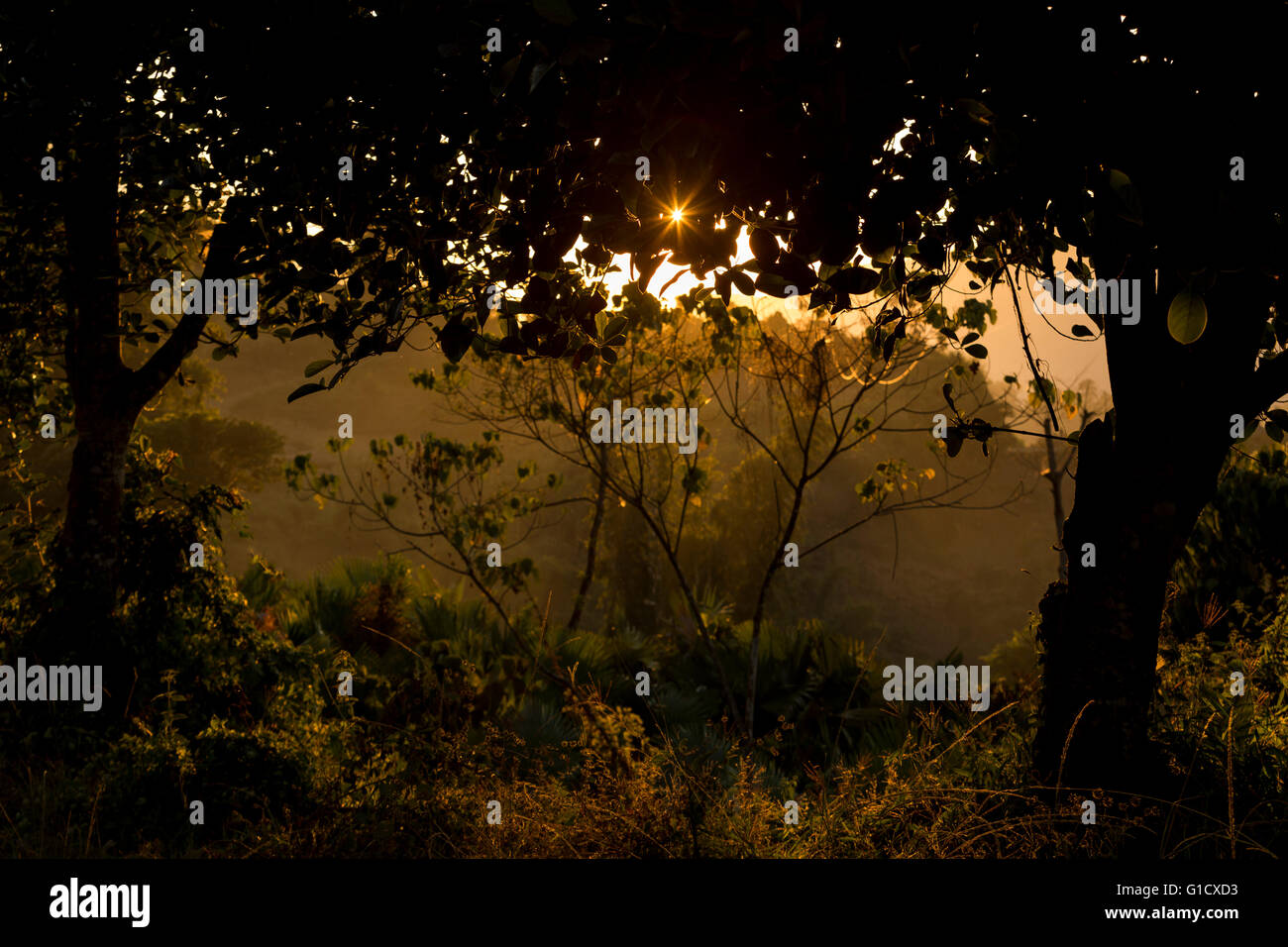Beautiful arunachal pradesh hi-res stock photography and images - Alamy