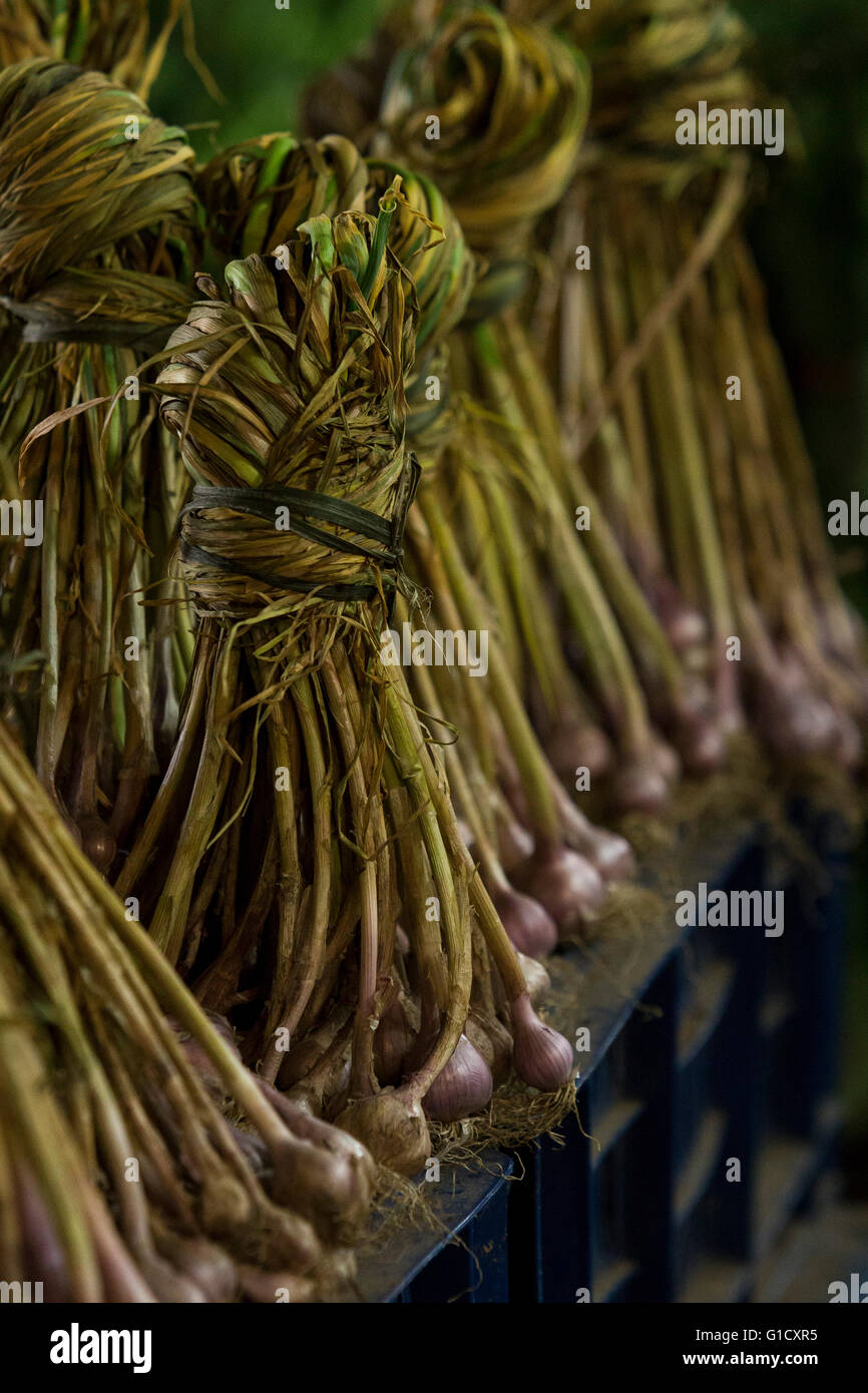 Mao market complex hi-res stock photography and images - Alamy
