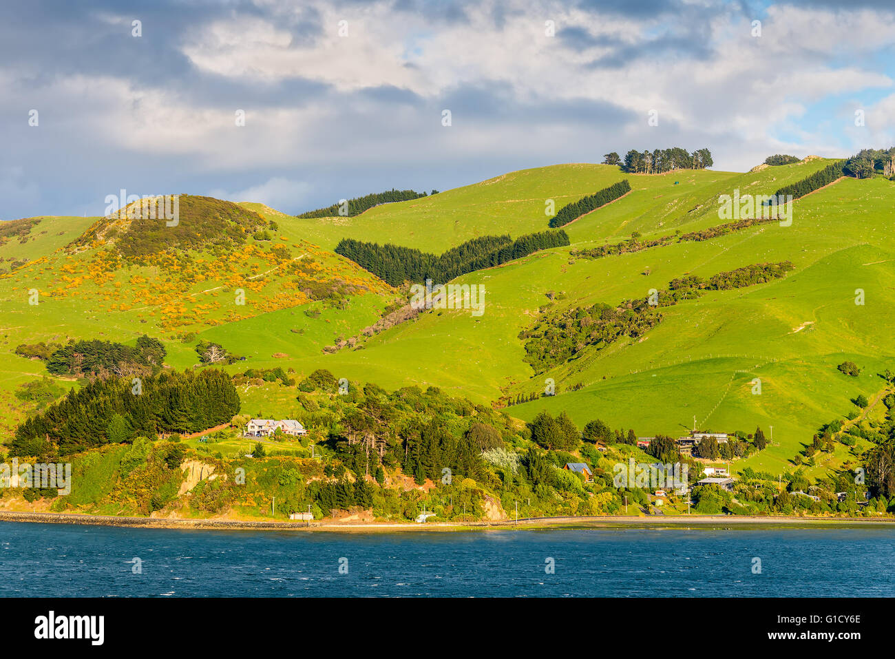 New zealand farm house painting hi-res stock photography and images - Alamy