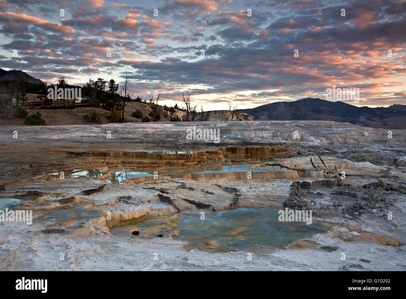 WYOMING - Clouds reflecting in the hot spring pools at sunrise on the ...