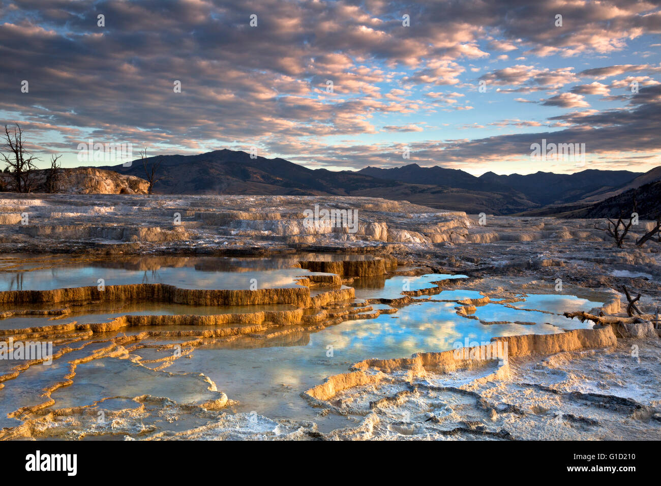 Travertine terraces yellowstone hi-res stock photography and images - Alamy