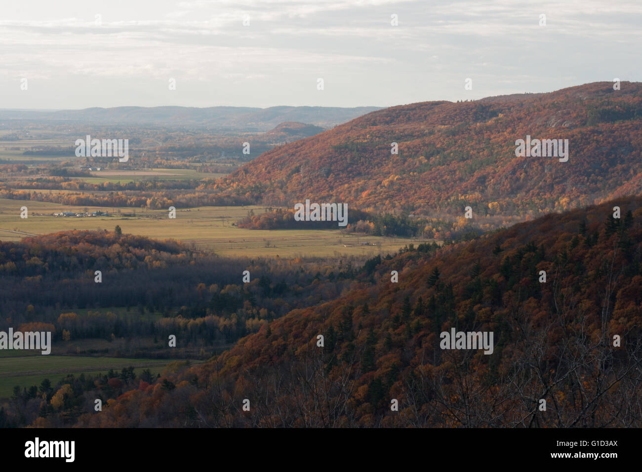 Eardley hi-res stock photography and images - Alamy